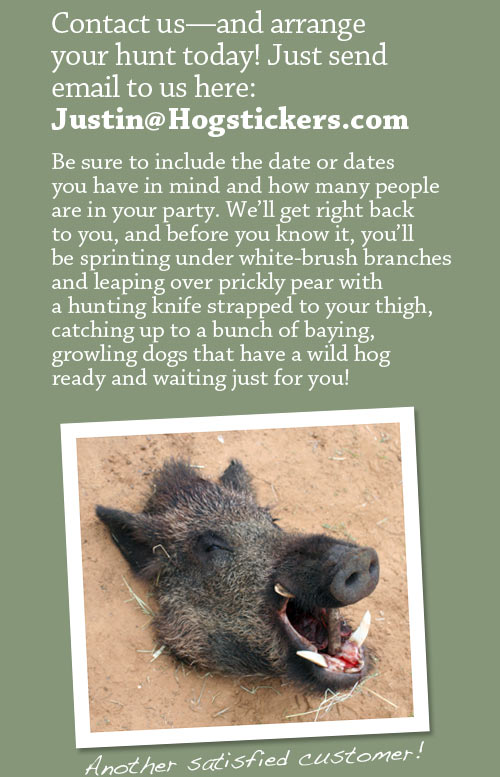 Hogstickers: The Best Feral-Hog Hunts in South Texas!